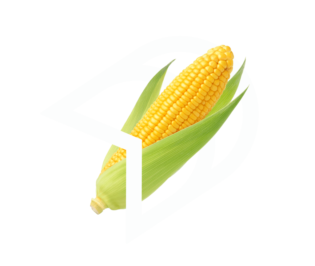 Coltivazione Mais: Agrofarmaci, Diserbo e Nutrizione Specifici Diachem